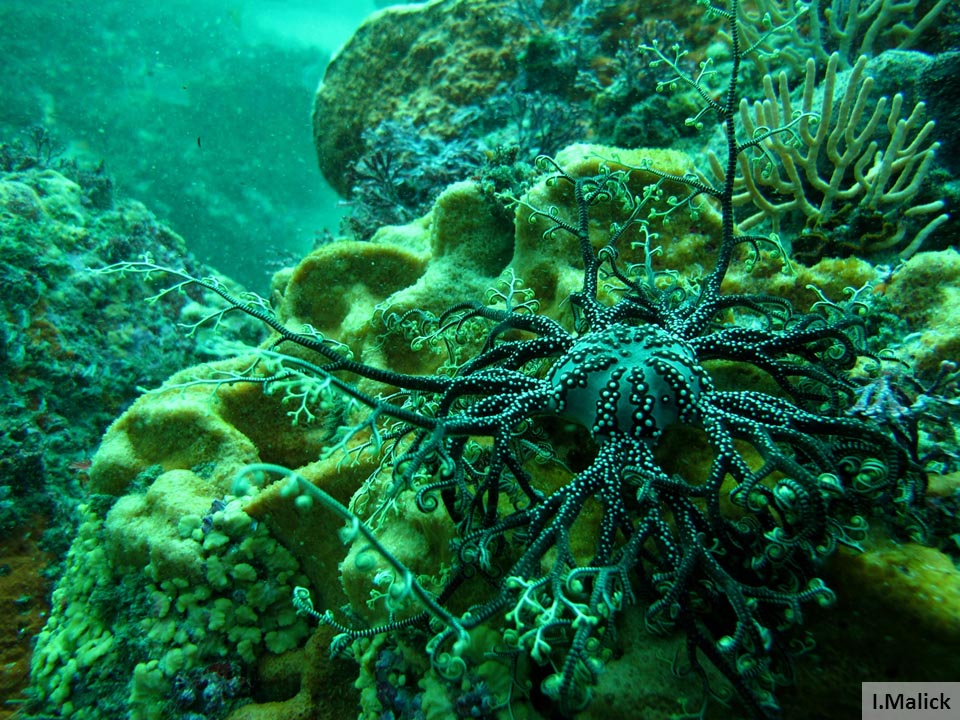 South Africa protects coastal and marine resources – UN Biodiversity Lab